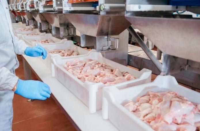 Exportações de carne de frango crescem 16,4% em julho e geram US$ 739 ...